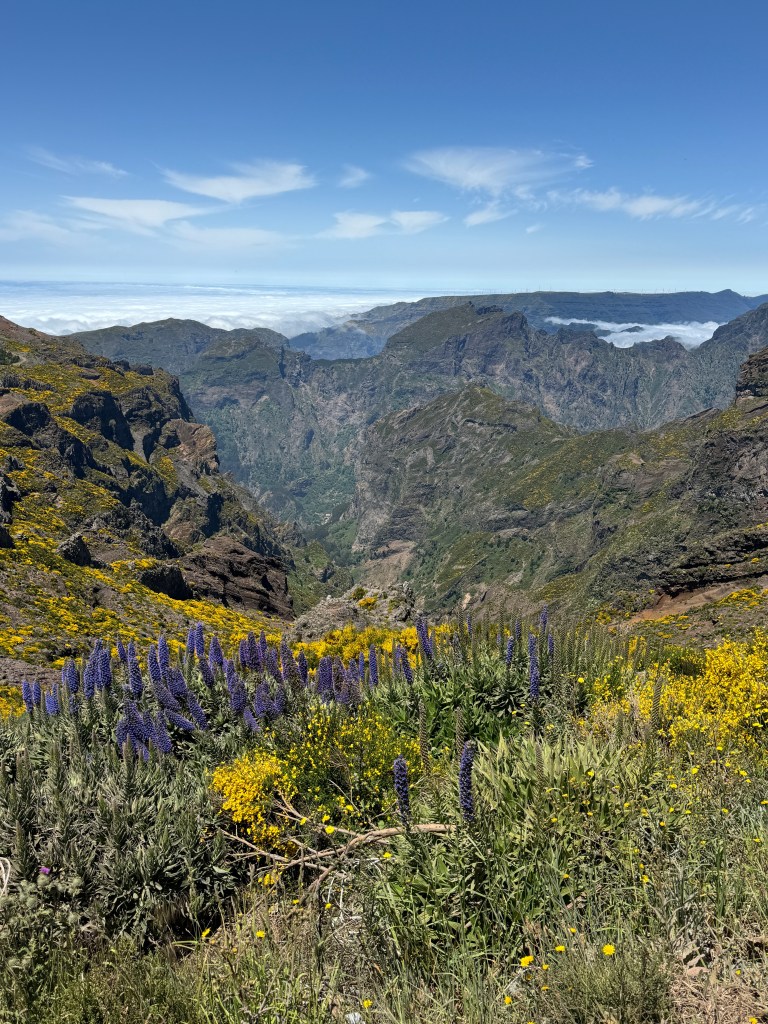 What to Pack for Each Season in Madeira, Portugal – Travel Raven